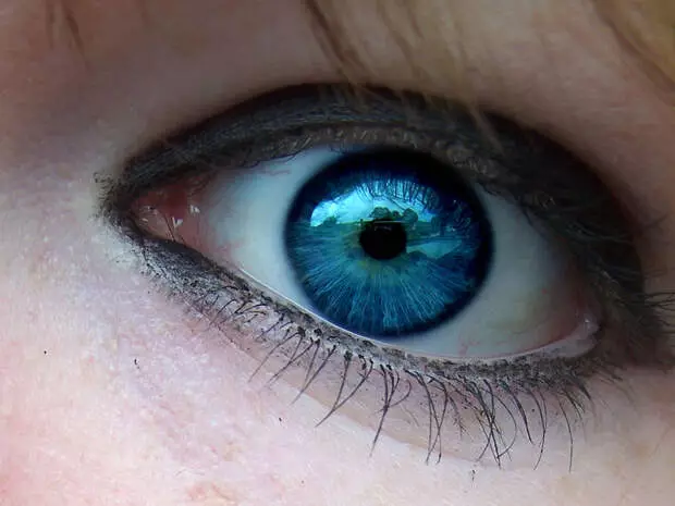 ლურჯი თვალების საიდუმლო
