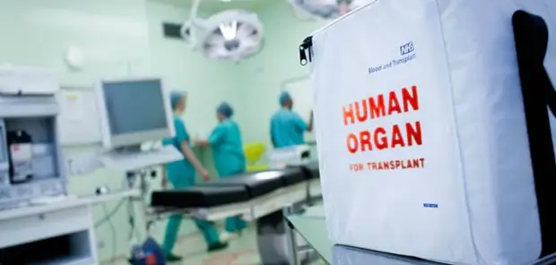 Partes humanas: verdade e mitos sobre o transplante de órganos