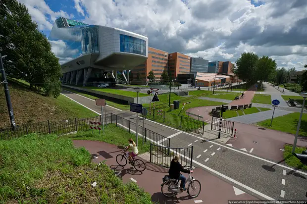 Cyclists and Amsterdam