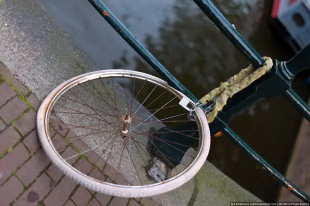 Bicicliști și Amsterdam