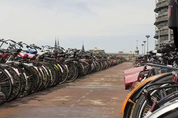 Bicicliști și Amsterdam