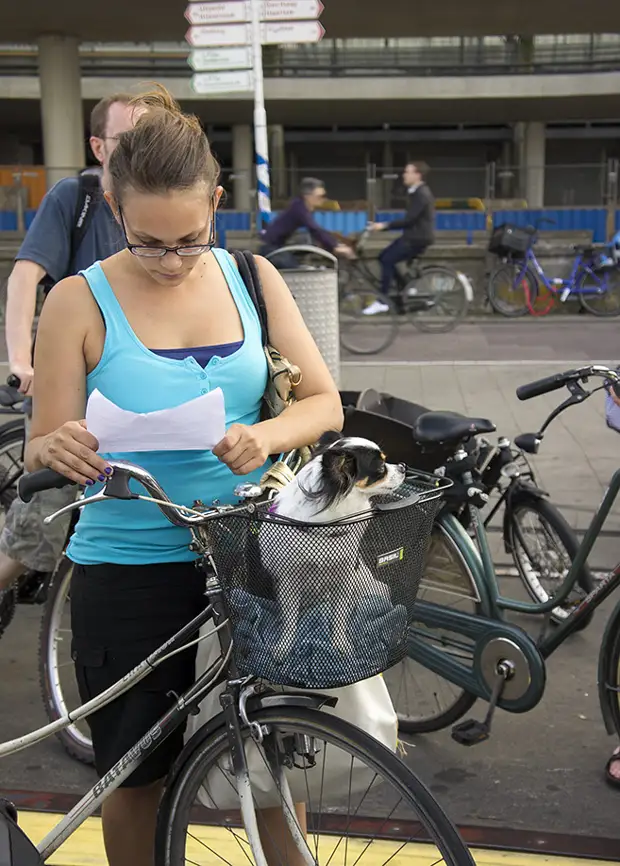 Bicicliști și Amsterdam