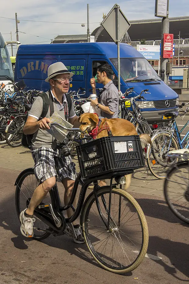 Cyclists and Amsterdam