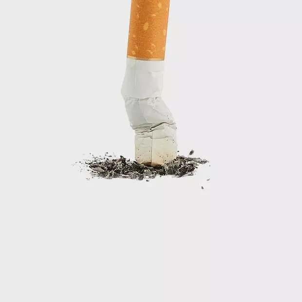 Nikotin siqareti təhlükəli edirmi?