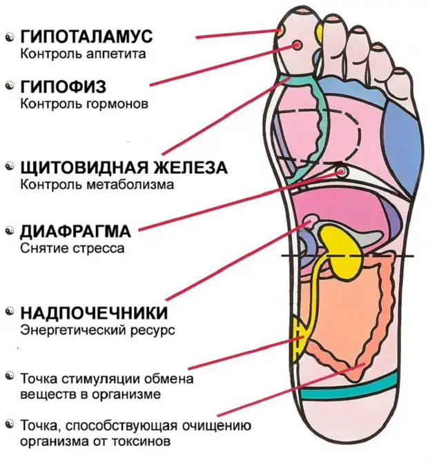 Reflexology pye: 7 pwen aktif sa yo ka fè ou tounen nan lavi nan yon koup de minit