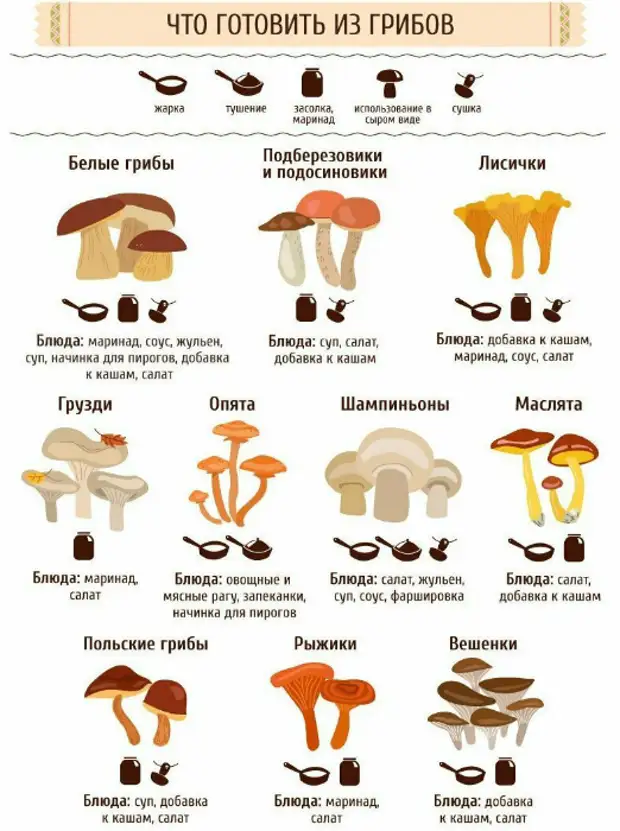 Полезни рецепти за кухня