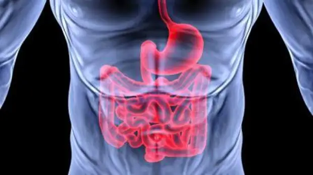 Causes of the appearance of blood in the stool in a child or adult