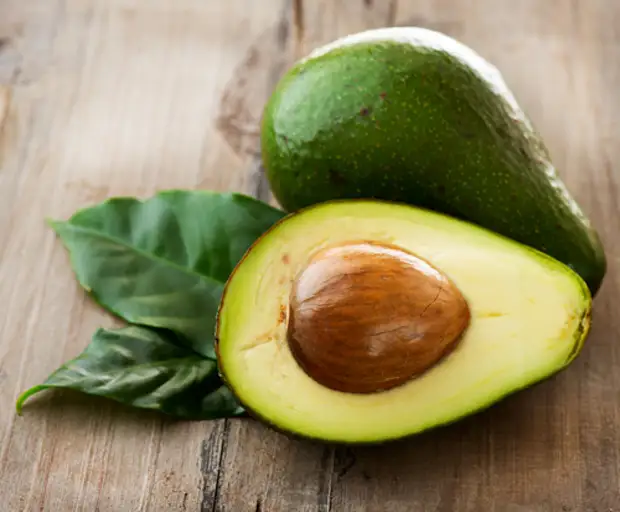 Síol avocado: buntáistí agus leideanna le húsáid