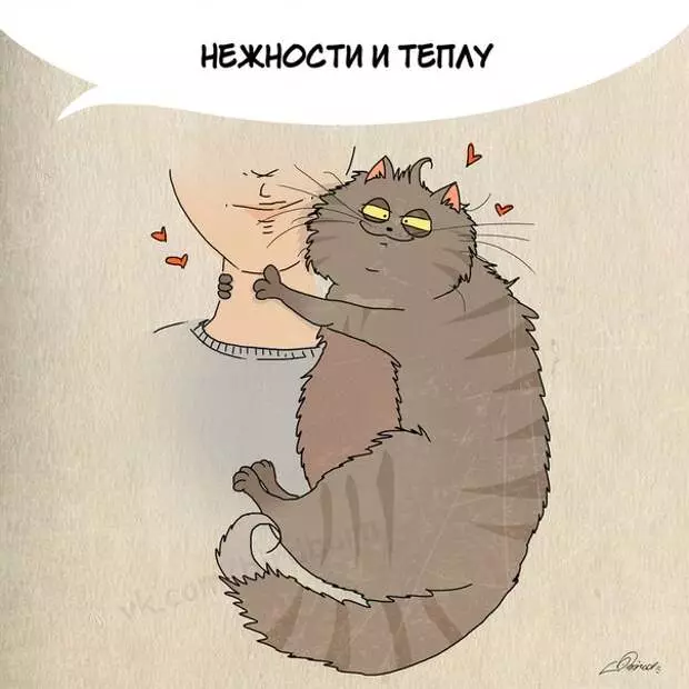 1. март је Дан мачака у Русији :)