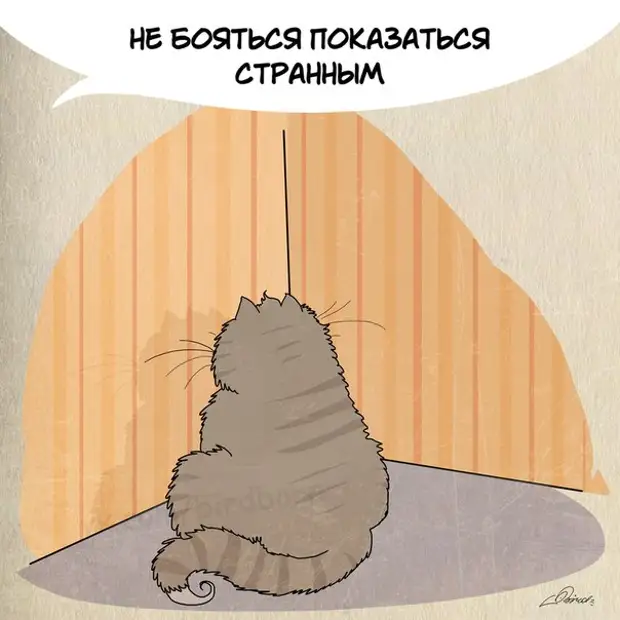 Дан мачака у Русији