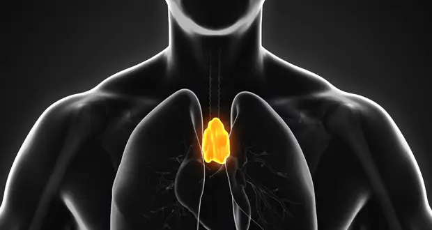 Kedu ihe kpatara mmadụ ji chọọ gland thymus?