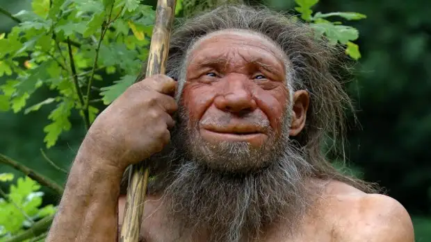 Nepričakovana nova hipoteza o vzrokih za izumrtje neandertalcev