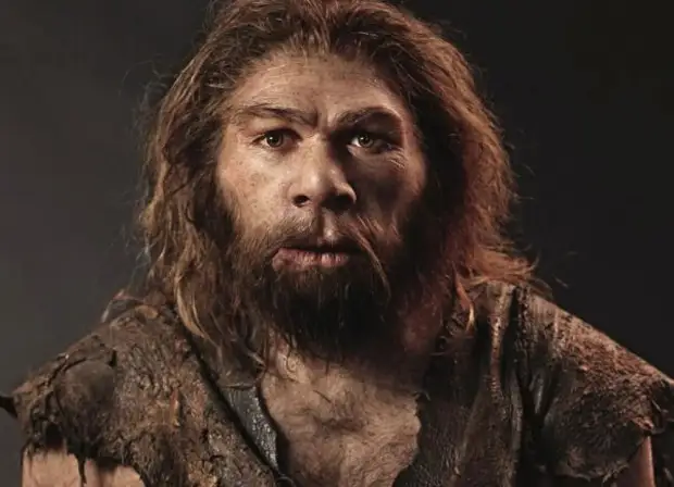 An unexpected new hypothesis about the causes of the extinction of the Neanderthals