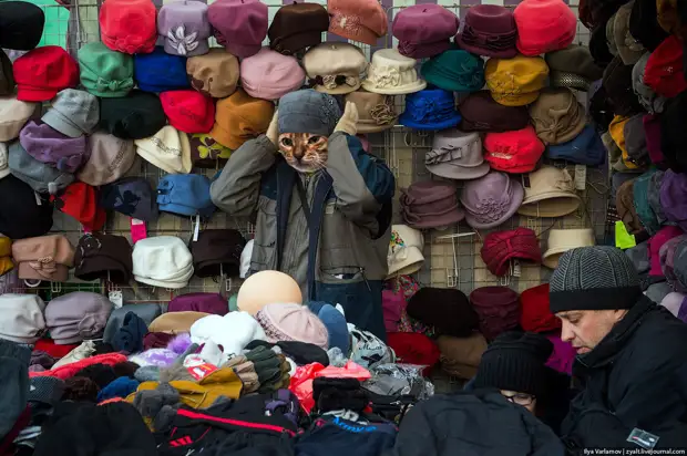 Ayollar modasi, qishda qanday kiyinmaslik kerak