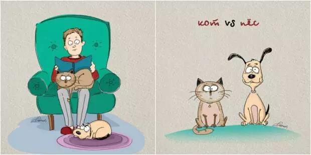 Gatos vs cachorros