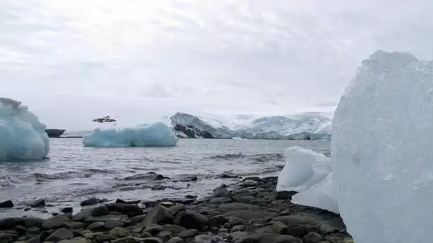 Focus Online: el hielo ártico se descongelará para el verano en la década de 2030