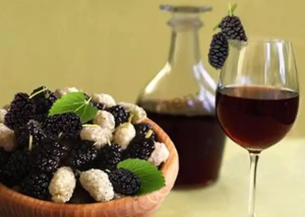 Tincture Mulberry