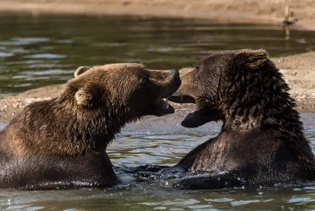 Kamchatka