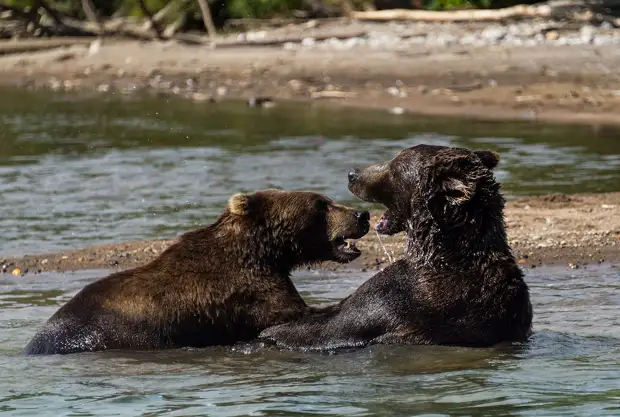 Kamchatka