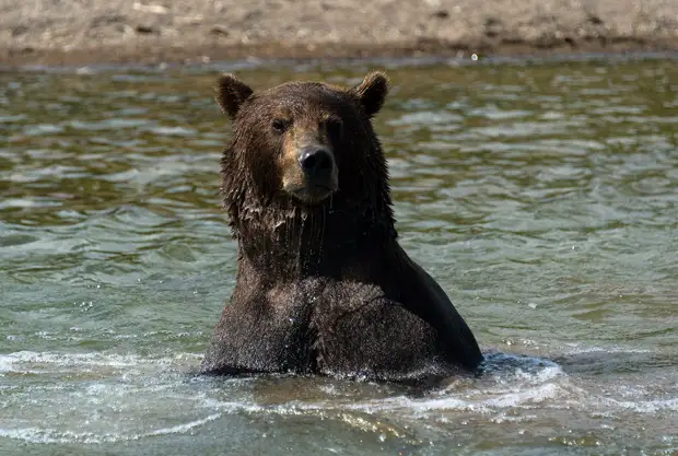 Kamchatka