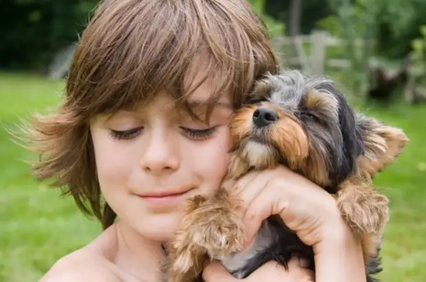 15 choses que les humains peuvent apprendre des chiens