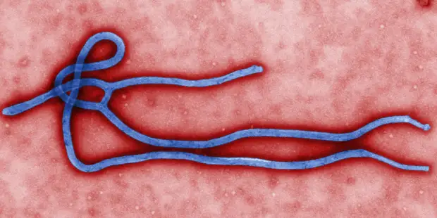 WIE: Ebola hou 'n bedreiging vir die wêreld in