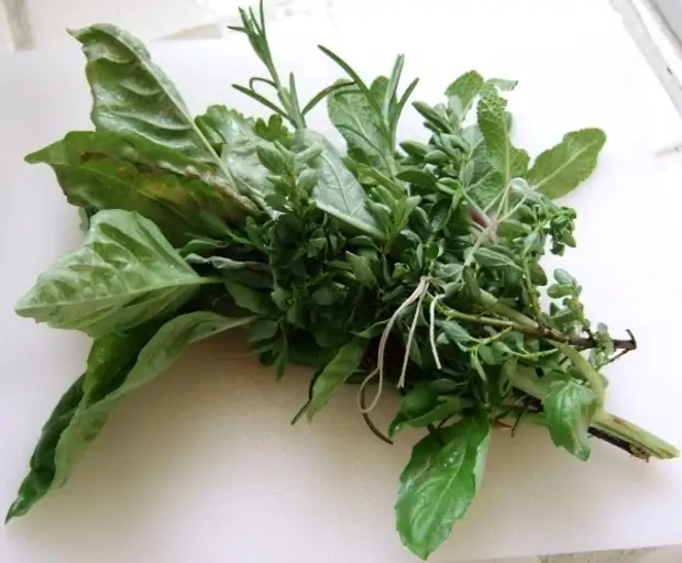 albahaca