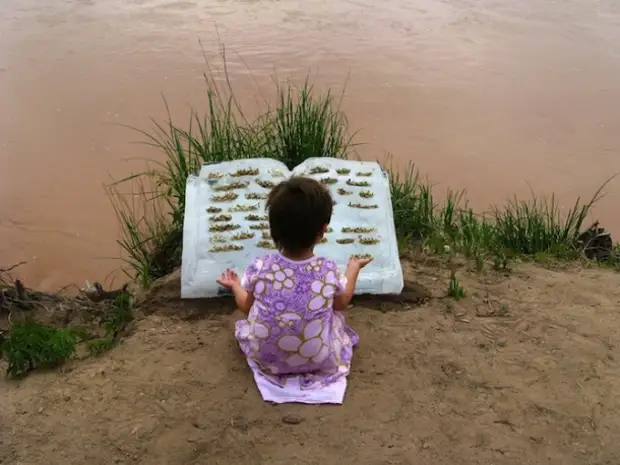 Ice books with plant seeds - a global project