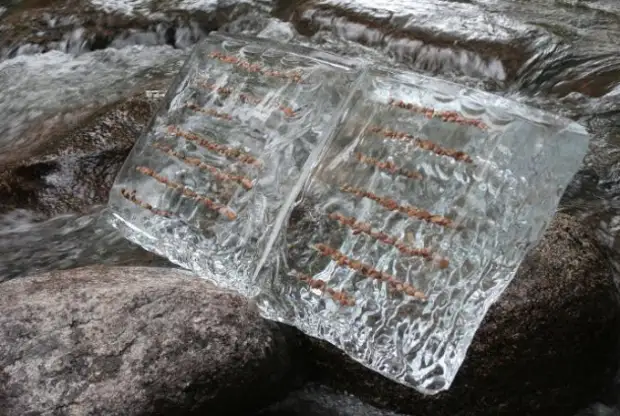 Ice books with plant seeds - a global project