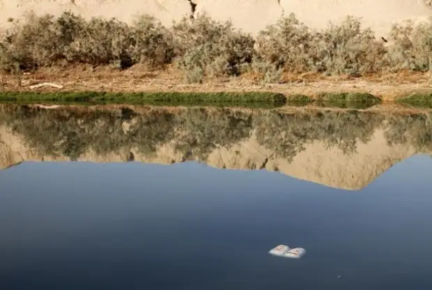 אייז ביכער מיט פאַבריק זאמען - אַ גלאבאלע פּרויעקט