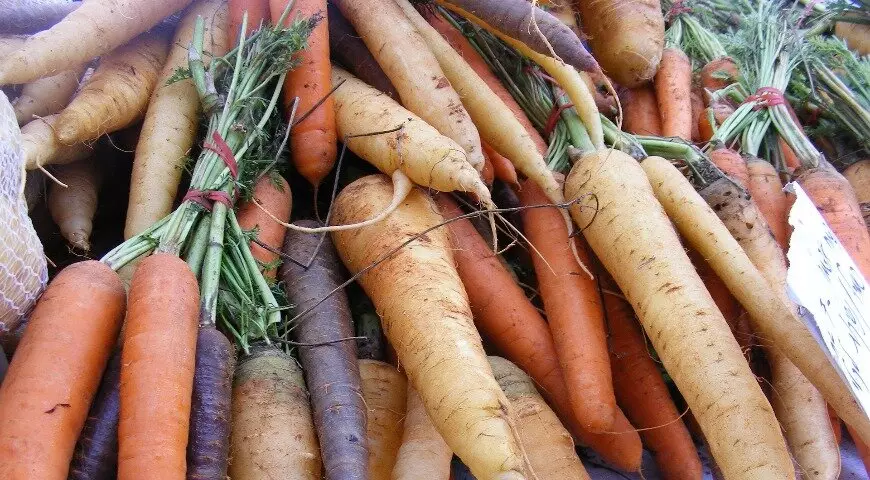 Ce que vous devez manger pour la santé du sang