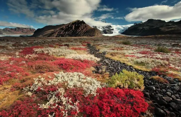 Abdi hoyong Islandia