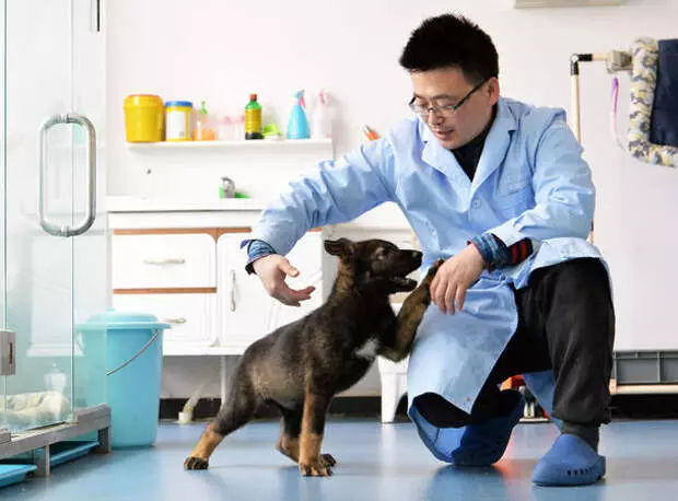 Beste politiehond gekloond in China