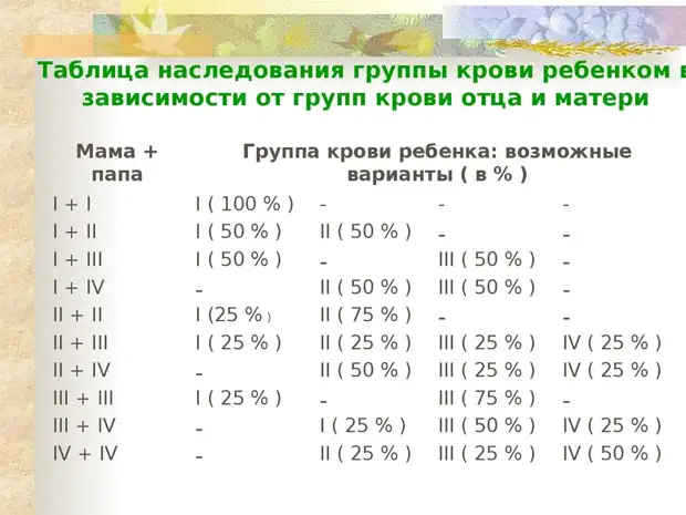 слайд-17