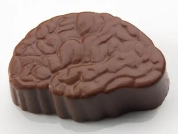 9 znanstvenih činjenica o čokoladi