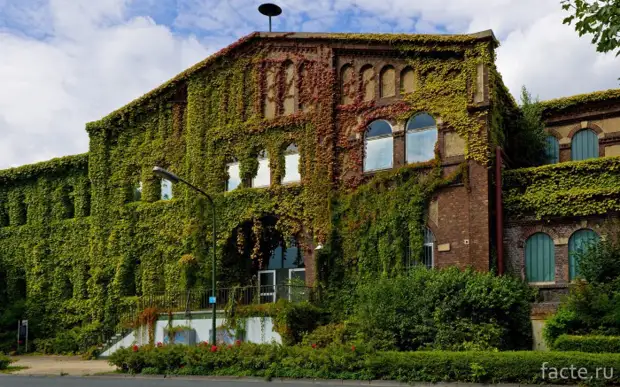 Yeşillendirme-eski bina