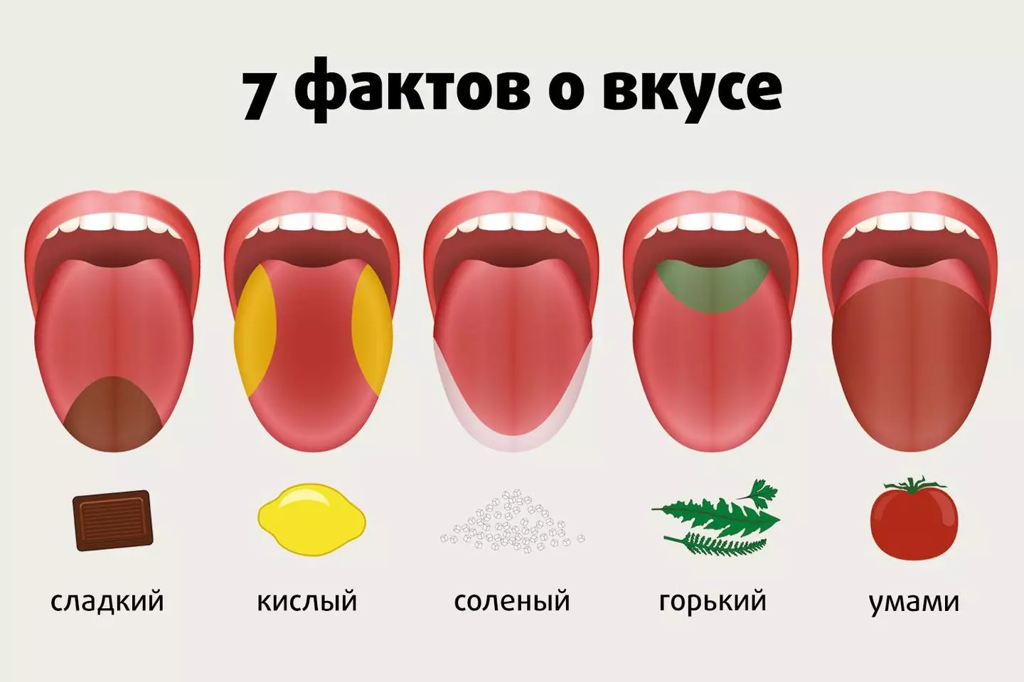 How we perceive taste, and what factors influence it