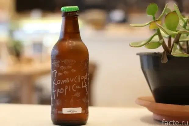 Kombucha