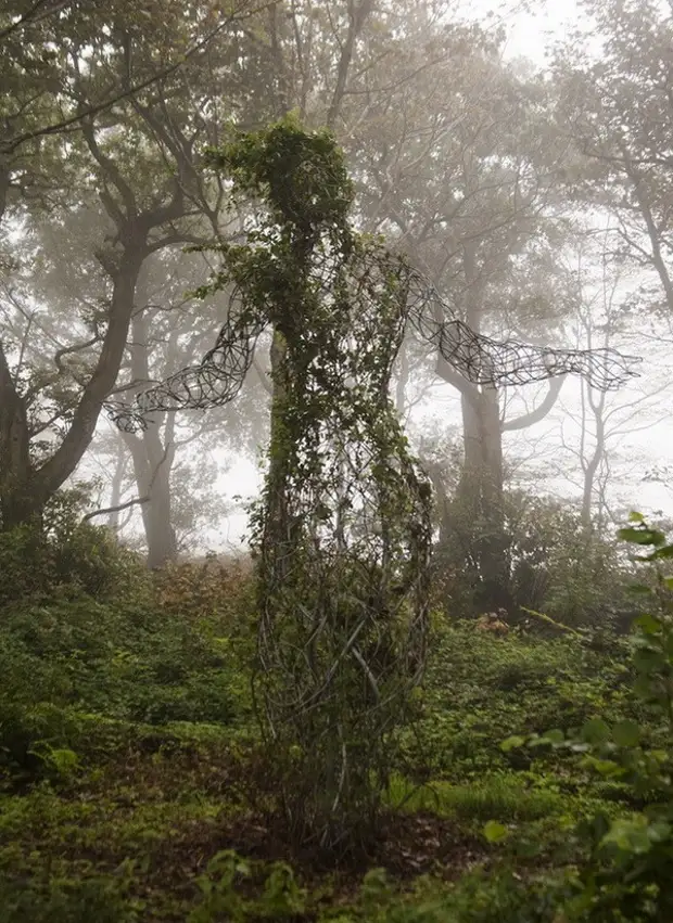 हॅलिगनचे हरवलेले गार्डन