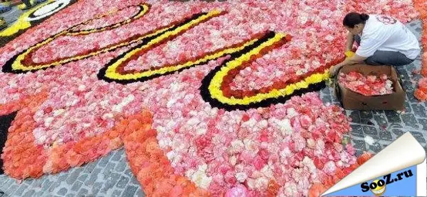 Tapis de fleurs (9 photos)