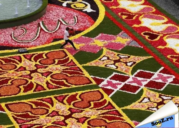 Alfombra de flores (9 fotos)