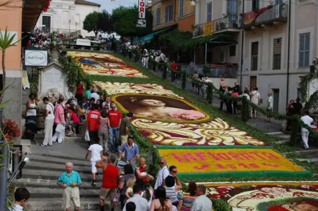 Des tapis de fleurs