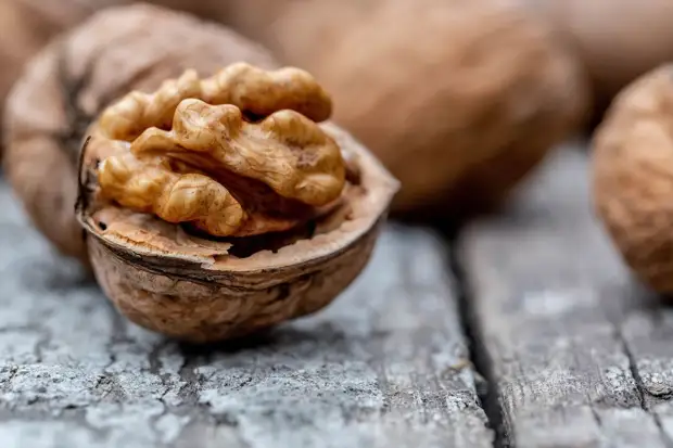 Vitamin pou maladi newolojik. Walnut. Foto: Marco Verch / Flickr