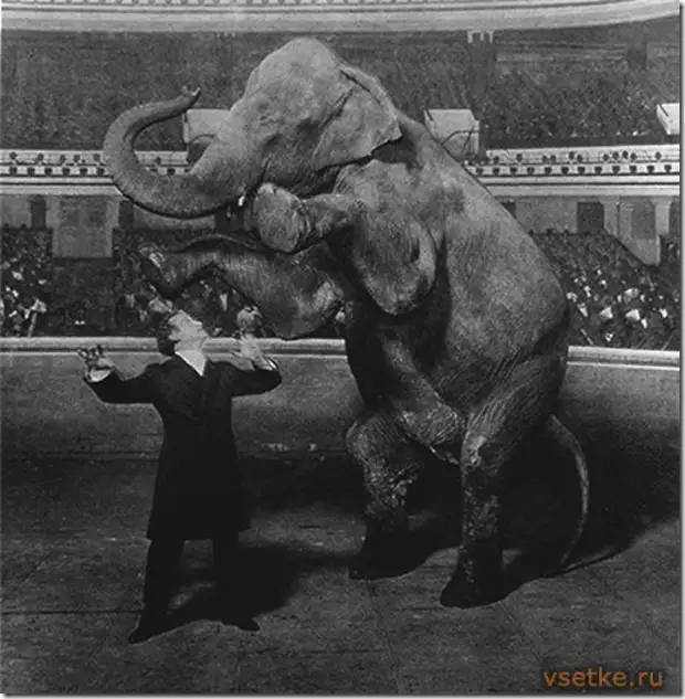 Vuonna 1900 Lontoossa Houdini näytti numeroa Elävän norsun katoaminen.