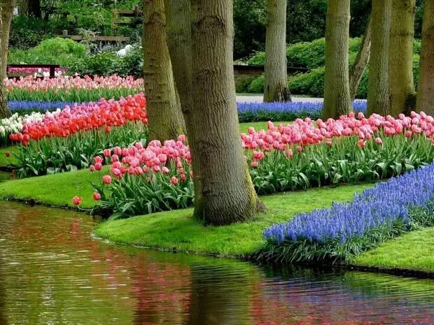 Keukenhof Flower Park