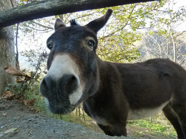 6 daga cikin mafi munin samfuran da aka yi a China