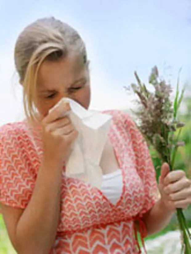 Nous traitons les allergies avec la racine de nerprun et la sève de bouleau