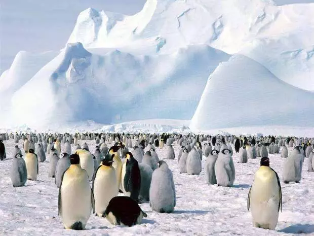 Antarctica ເຕັມໄປດ້ວຍຄວາມລັບ