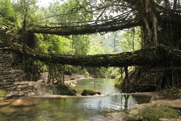 Ten unusual bridges