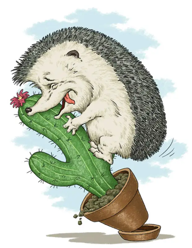 I-Hedgehog ku-cactus